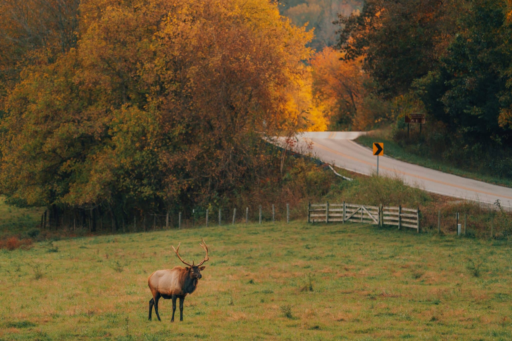 Top Buffalo River Fall Adventure Tips | Buffalo Outdoor Center