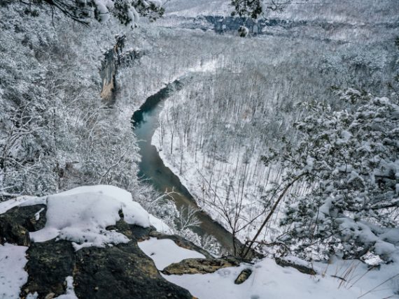 Best Places to See Elk in Ponca | Buffalo Outdoor Center