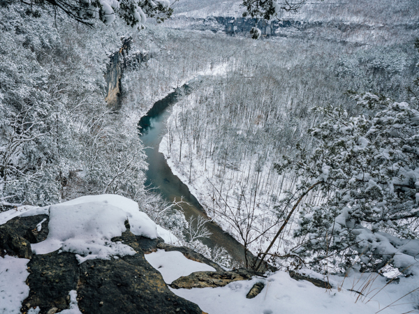 Best Places to See Elk in Ponca | Buffalo Outdoor Center