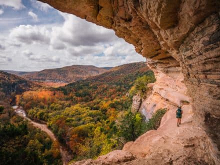 Best Places to See Elk in Ponca | Buffalo Outdoor Center