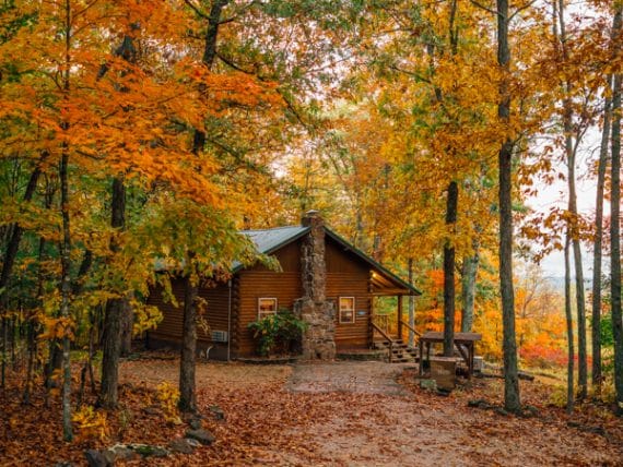Best Places to See Elk in Ponca | Buffalo Outdoor Center