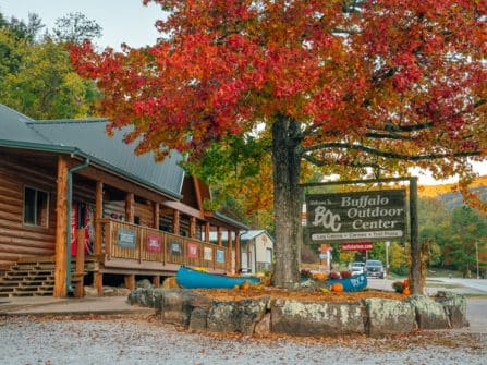 Best Places to See Elk in Ponca | Buffalo Outdoor Center